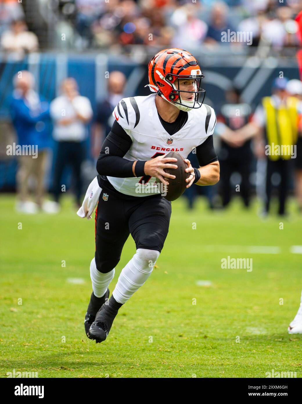 August 17, 2024: Cincinnati Bengals quarterback #11 Logan Woodside runs ...