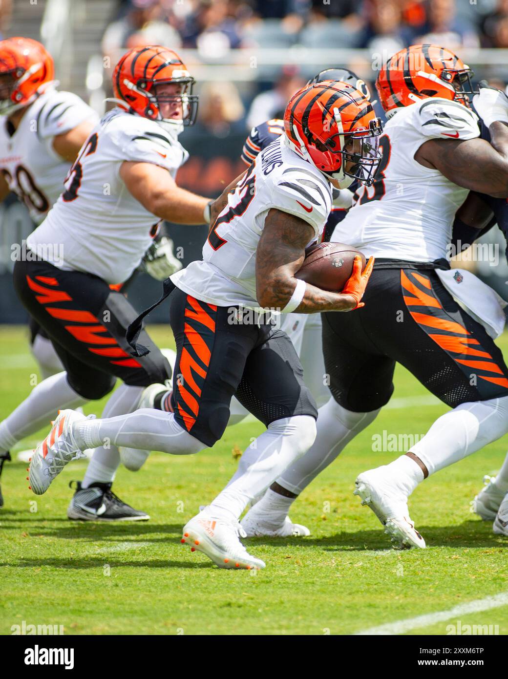 August 17, 2024: Cincinnati Bengals #32 Trayveon Williams in action ...