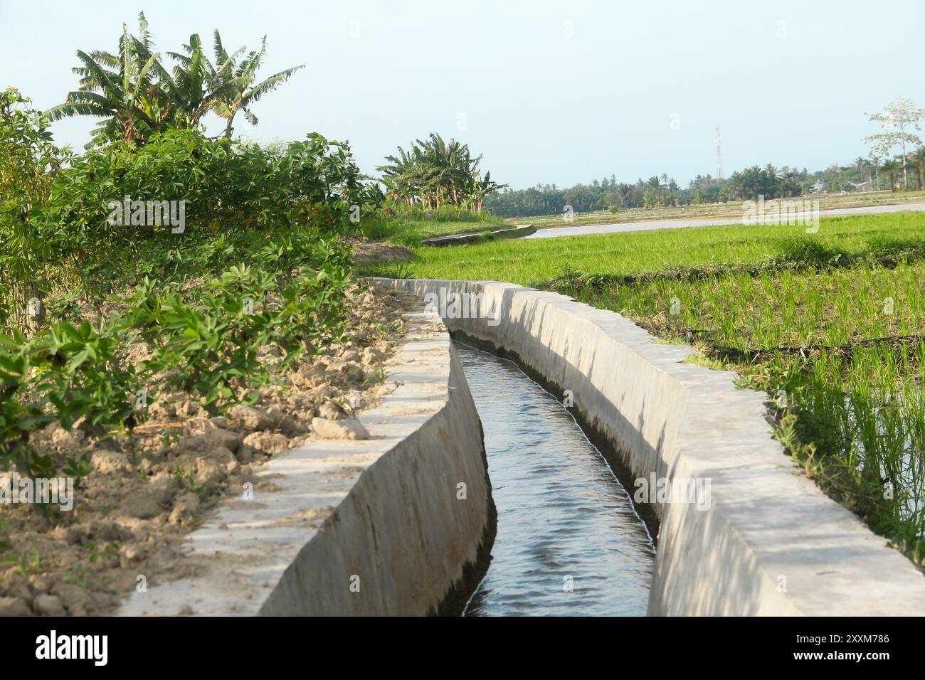 Irrigation Canals that irrigate rice fields in rural areas Stock Photo ...