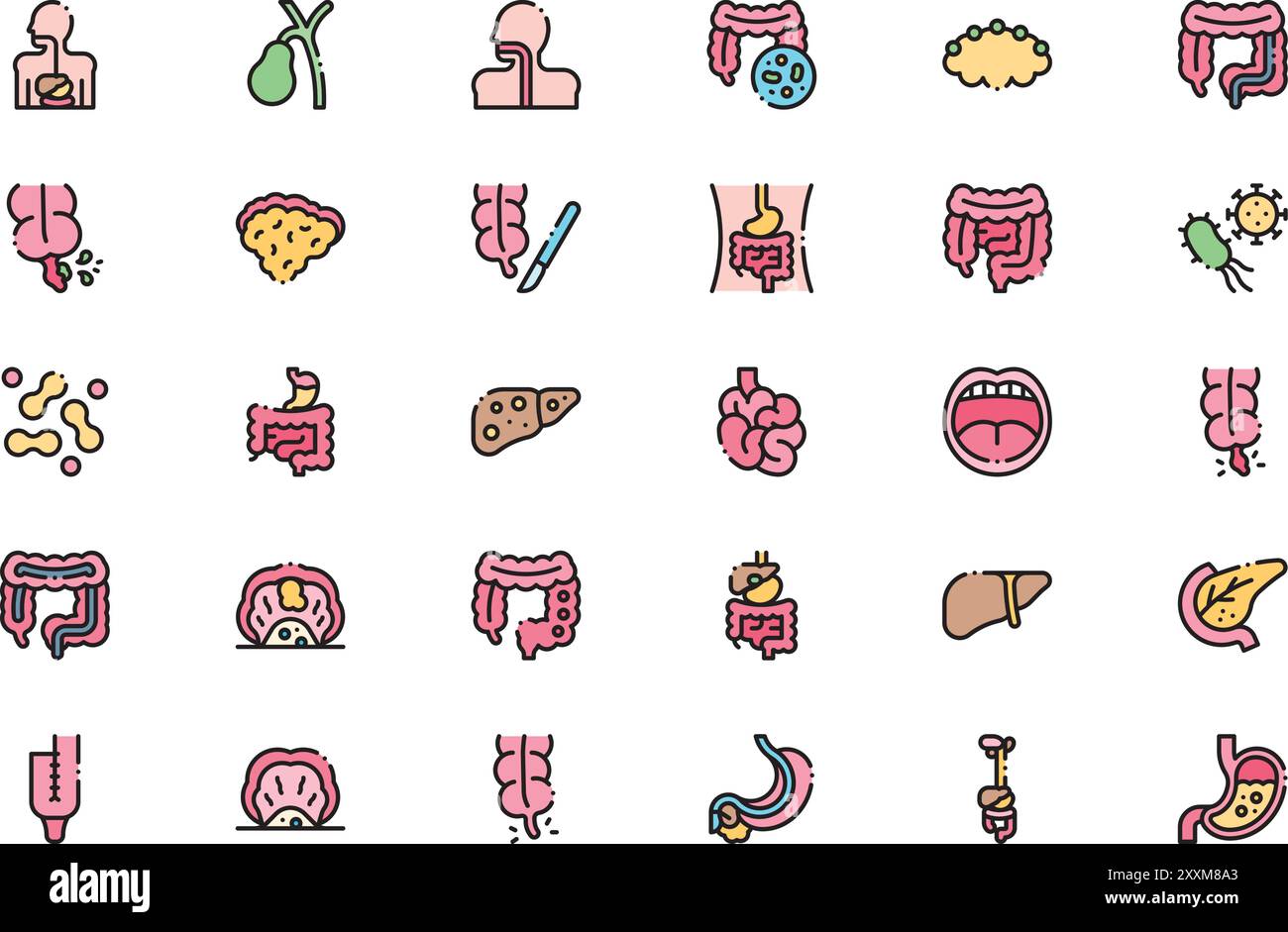 Digestive system icons collection is a vector illustration with ...