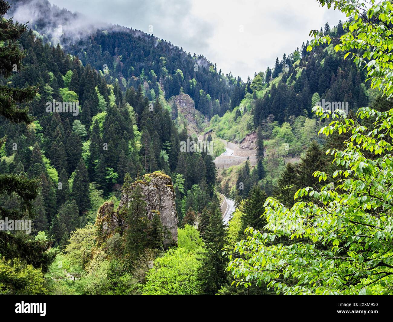 road to Sumela monastery between overgrown mountains in Macka district ...