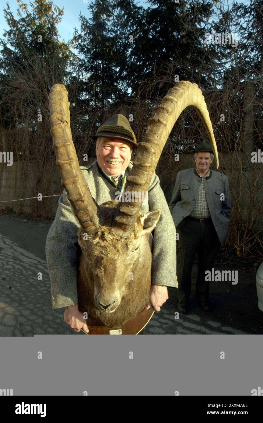 animal as a hunting trophy and a decoration element hunting trophy a ...