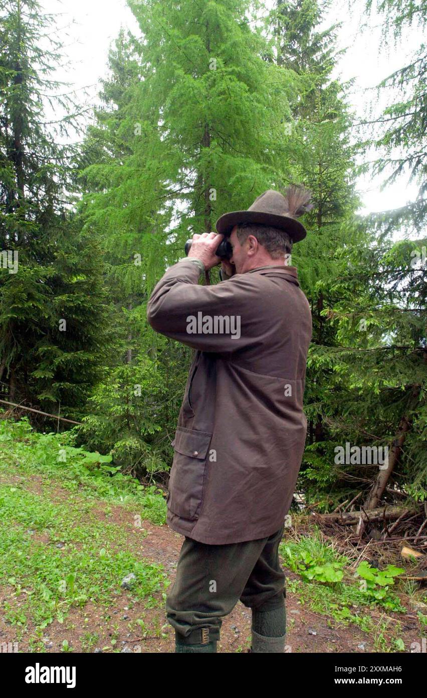 Hunting is the act of tracking and pursuing animals hunting with arms ...