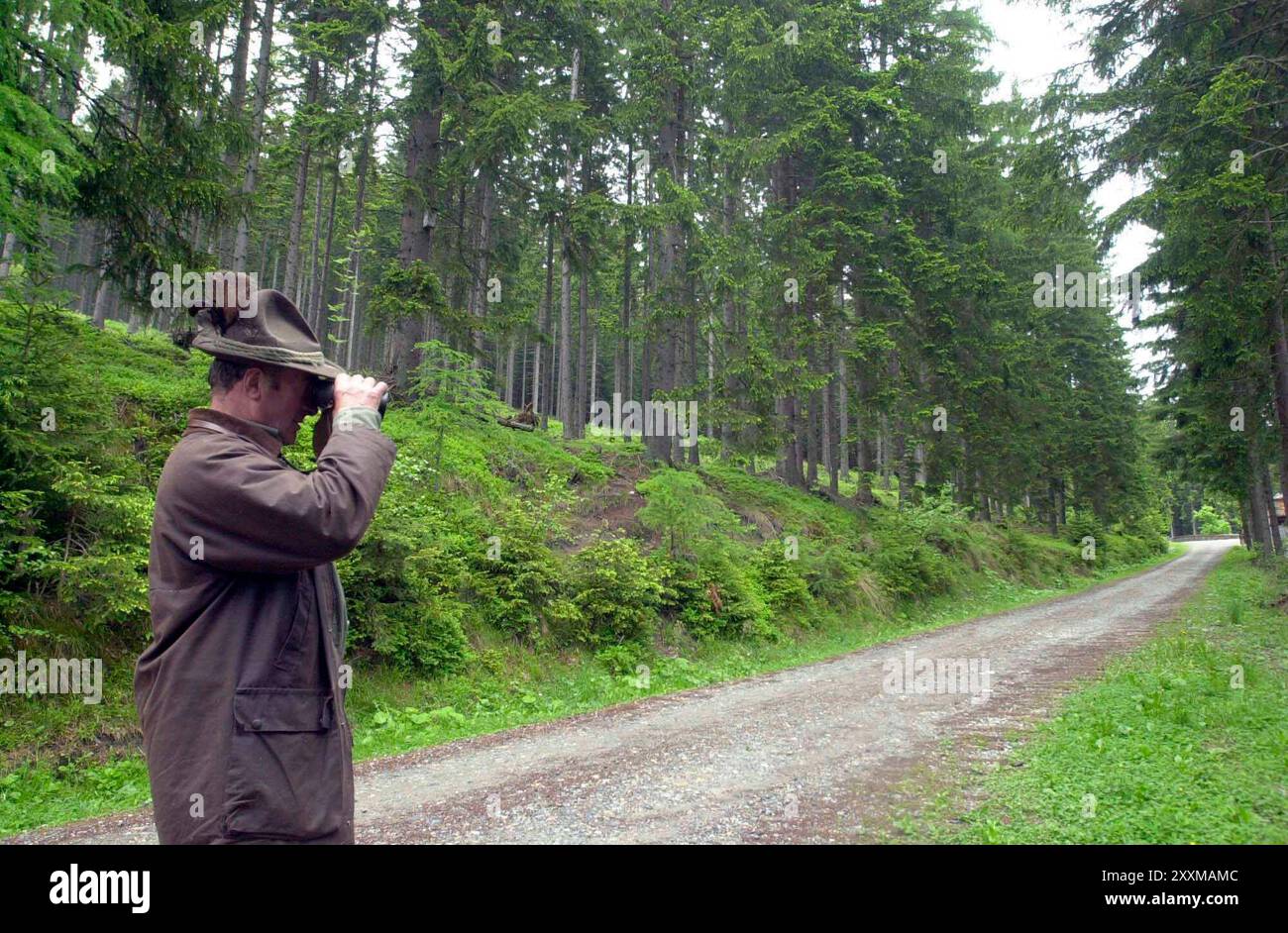 Hunting is the act of tracking and pursuing animals hunting with arms ...