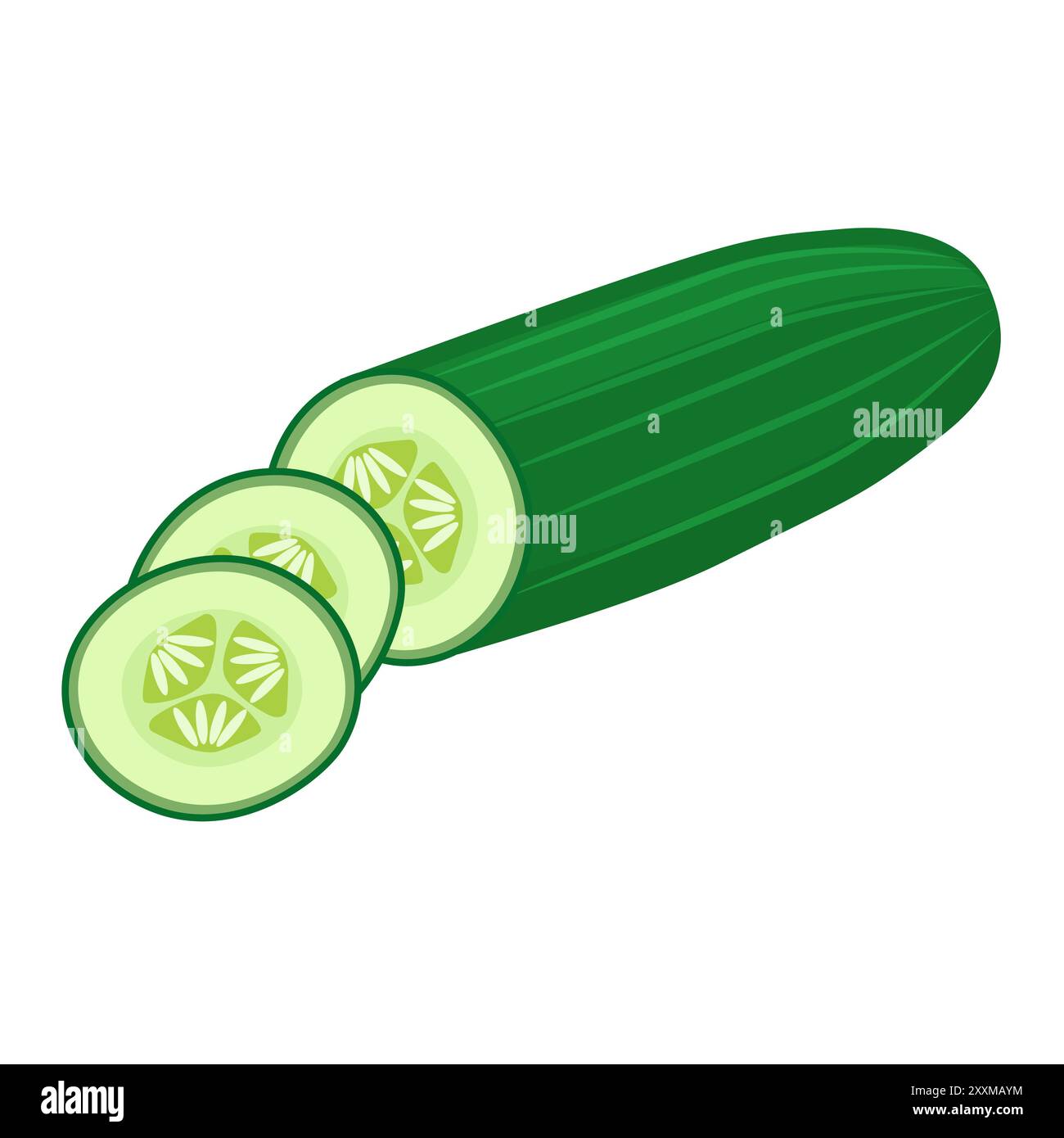 Vector image of a cucumber with slices, showing detailed texture and ...