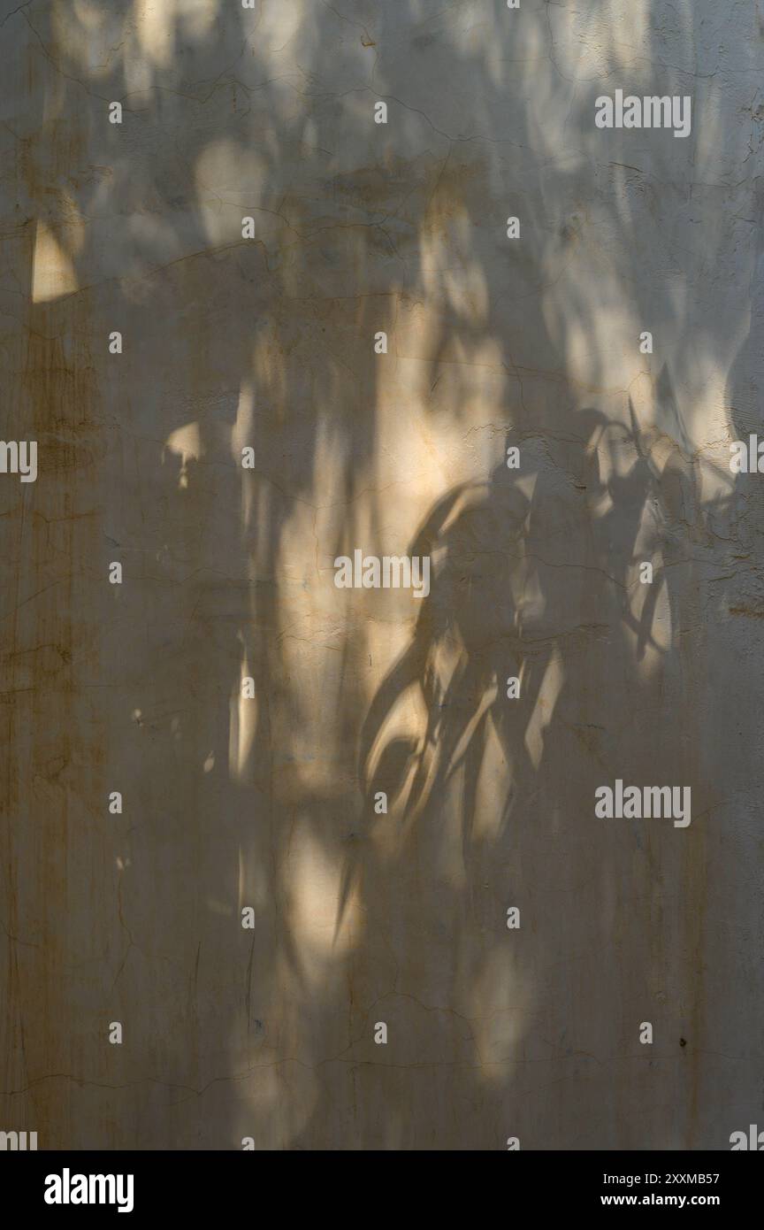 Trendy photography effect of sun light reflection over white background ...