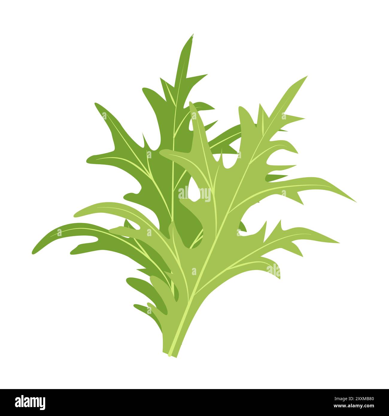 Chart showcasing Stock Vector Images - Alamy