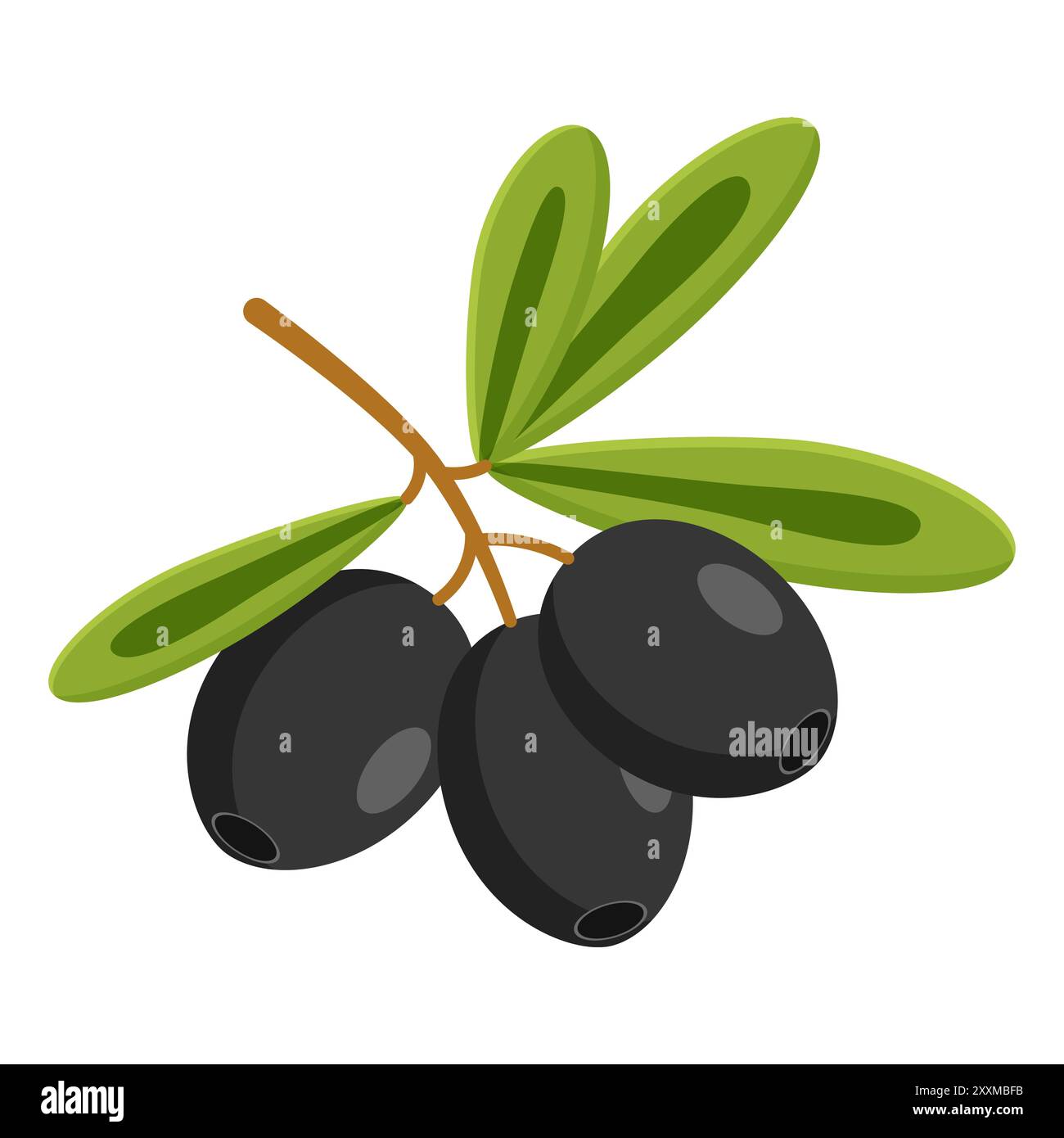 Black olives vector art on a branch with green leaves, isolated on ...
