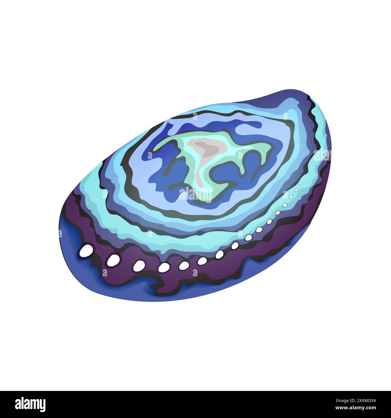 Detailed vector illustration of a blue patterned seashell with ...