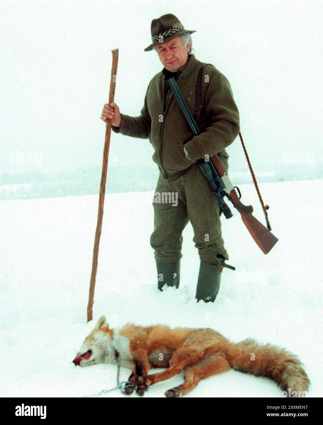 animal as a hunting trophy and a decoration element hunting trophy a ...