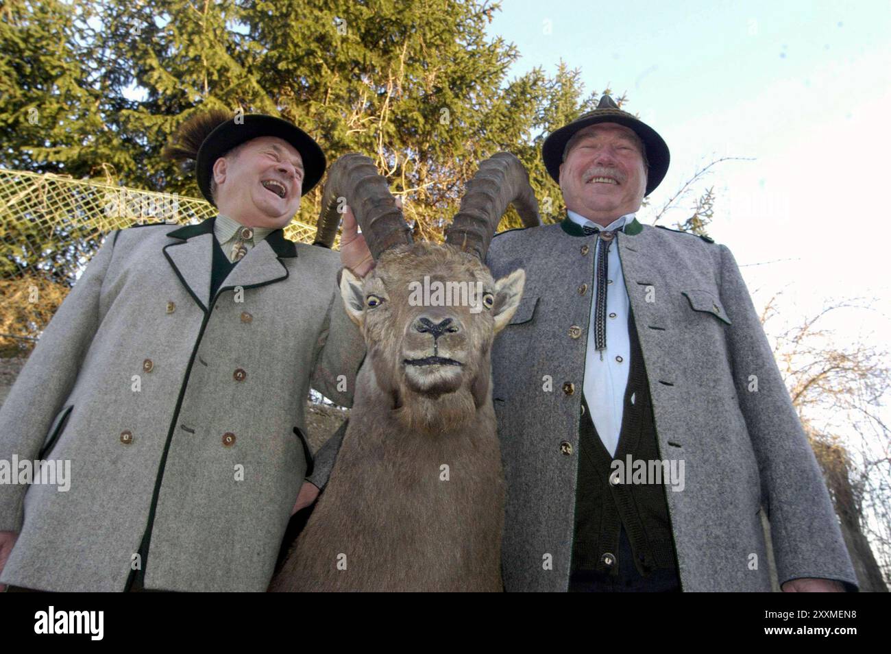 animal as a hunting trophy and a decoration element hunting trophy a ...