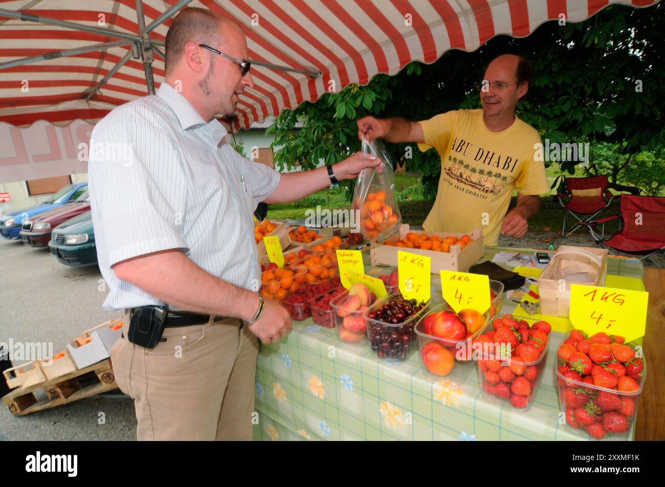 Apricot sale at the market stall at the street, farmer selling ...