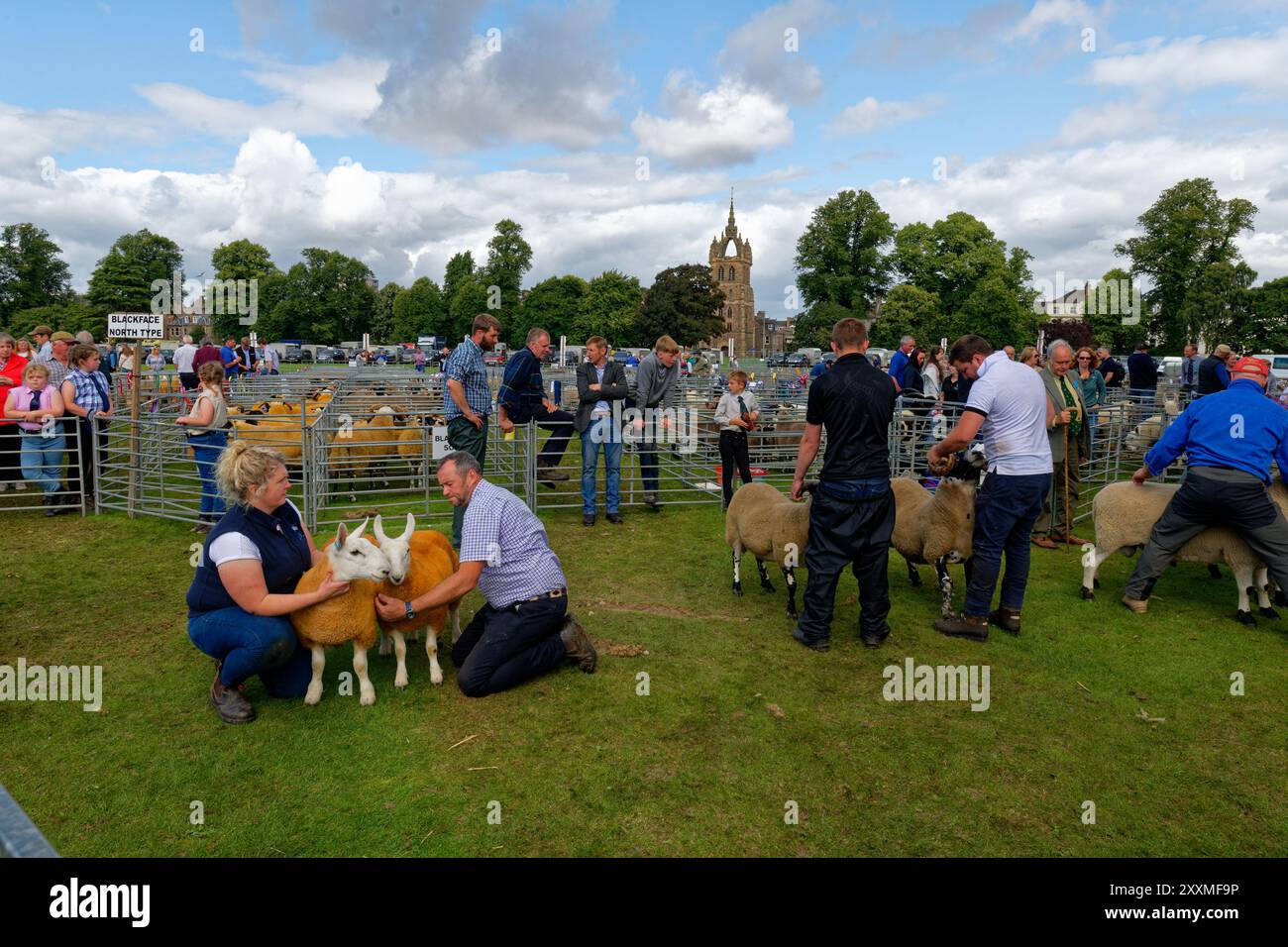 The Perth Show 2024 Stock Photo - Alamy