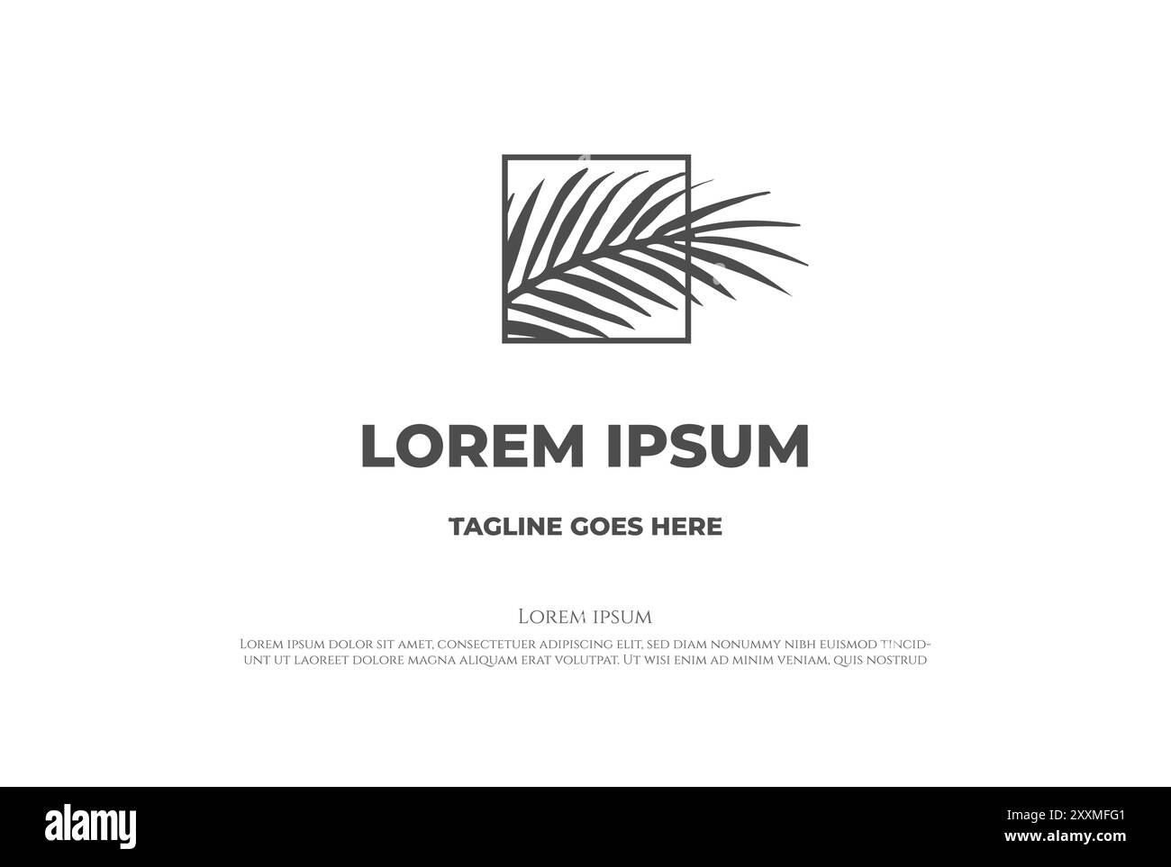 Elegant Luxury Square Coconut Palm Date Leaf Leaves Nature Garden Logo ...