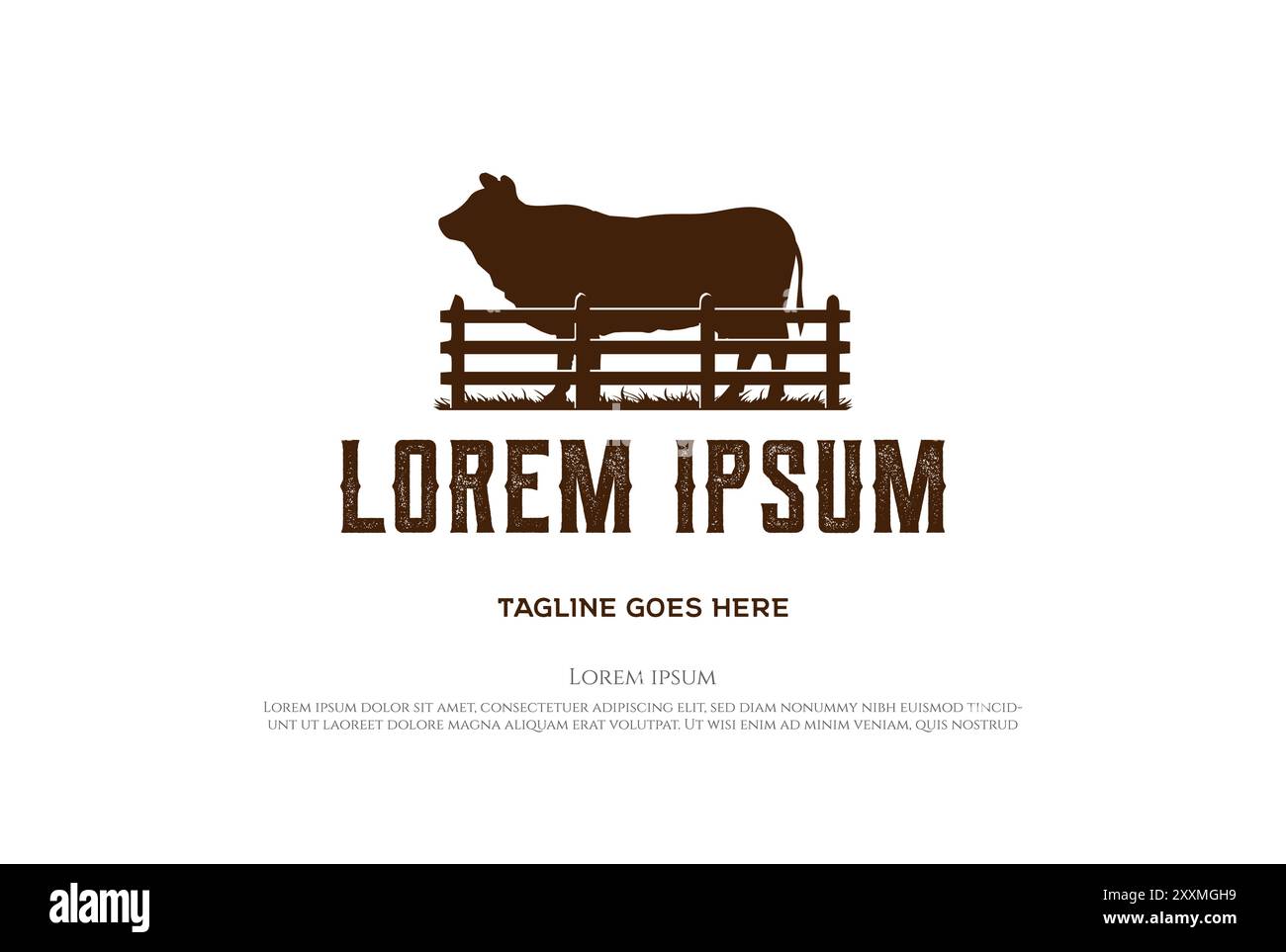 Black angus standing Cut Out Stock Images & Pictures - Alamy