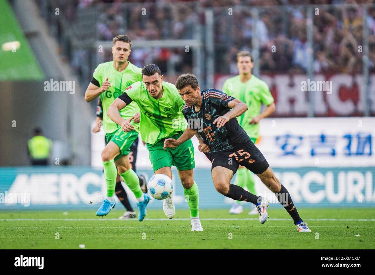 Wolfsburg, Deutschland. 25th Aug, 2024. Cedric Zesiger (VfL Wolfsburg ...