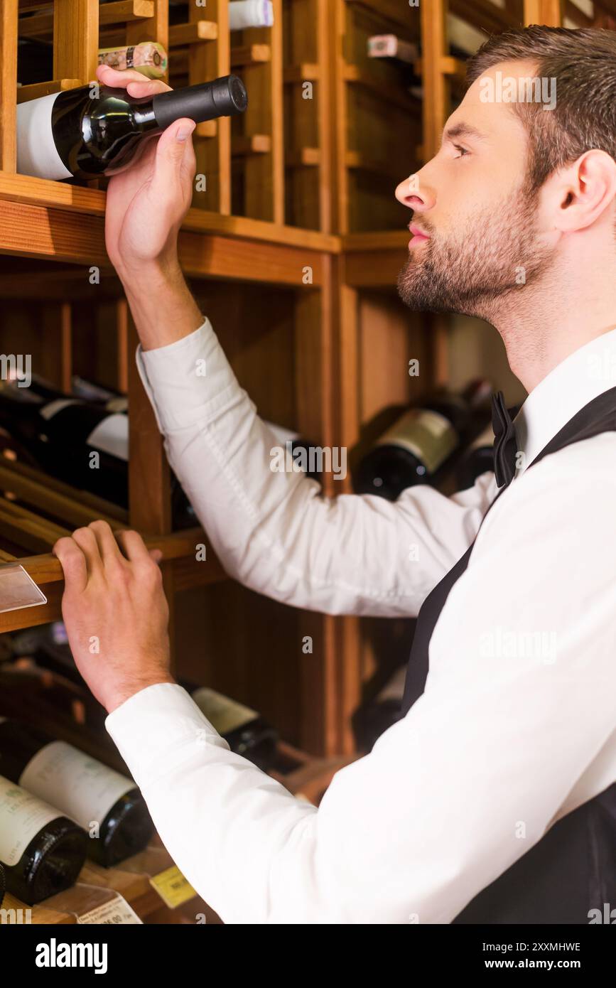 Choosing the best wine. Confident male sommelier choosing wine from the ...