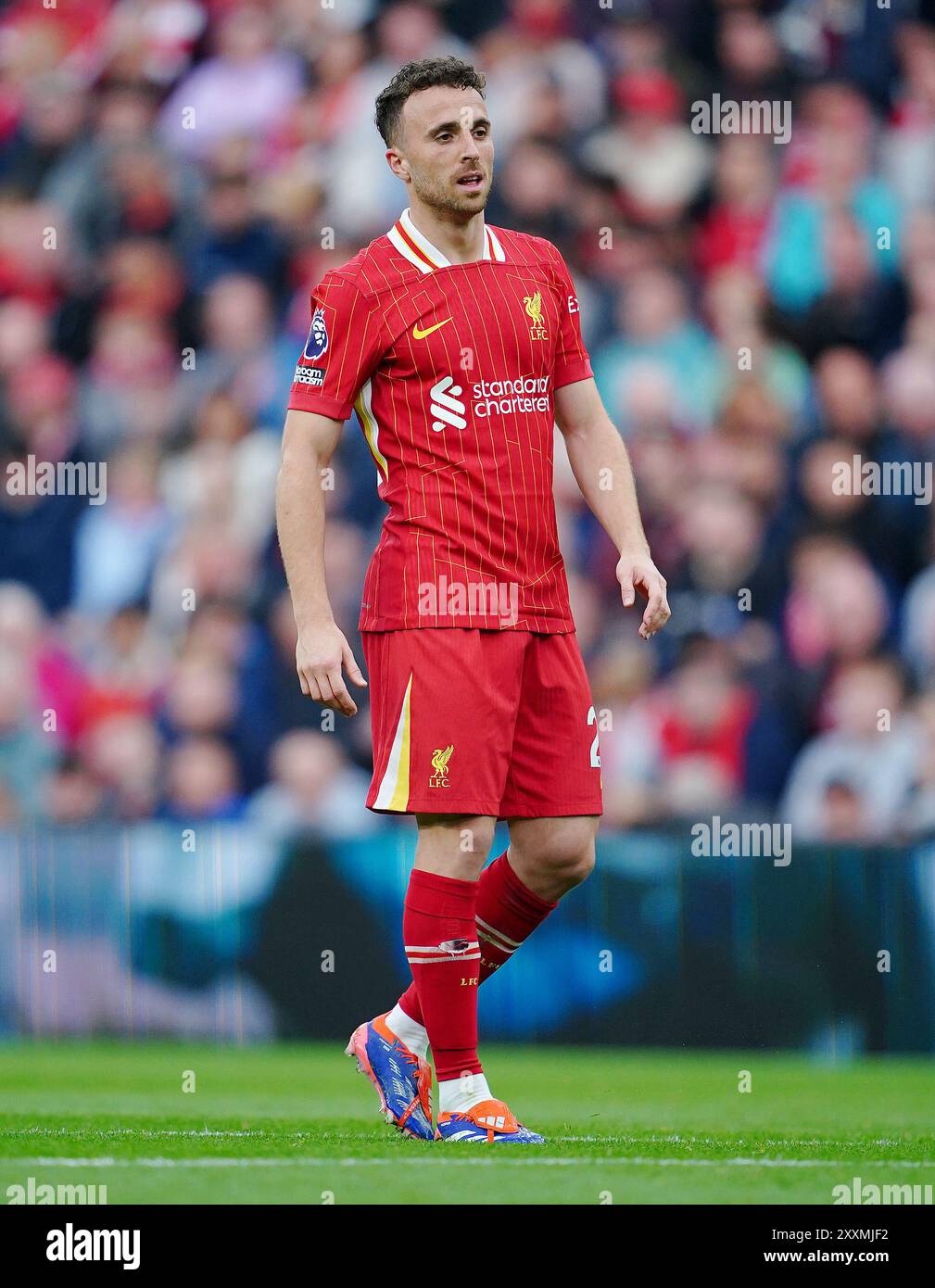 Liverpool's Diogo Jota during the Premier League match at Anfield ...
