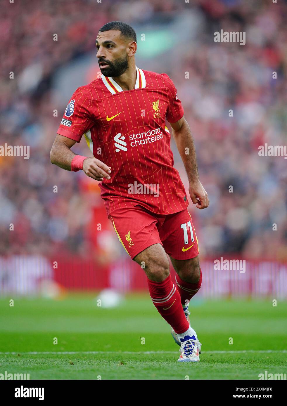 Mohamed Salah 2024 Pictures