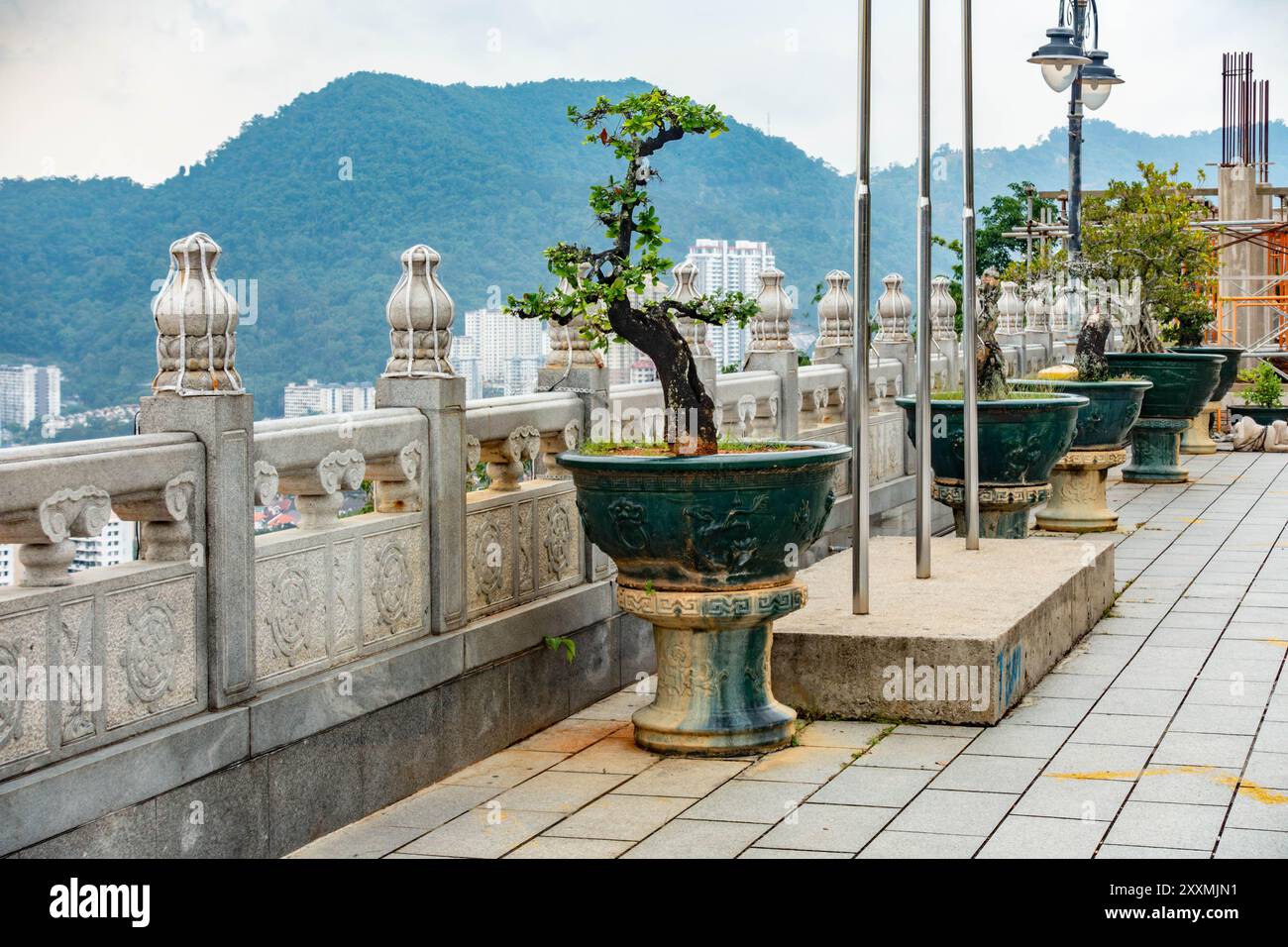 Decorative bonsai in buddhist hi-res stock photography and images - Alamy