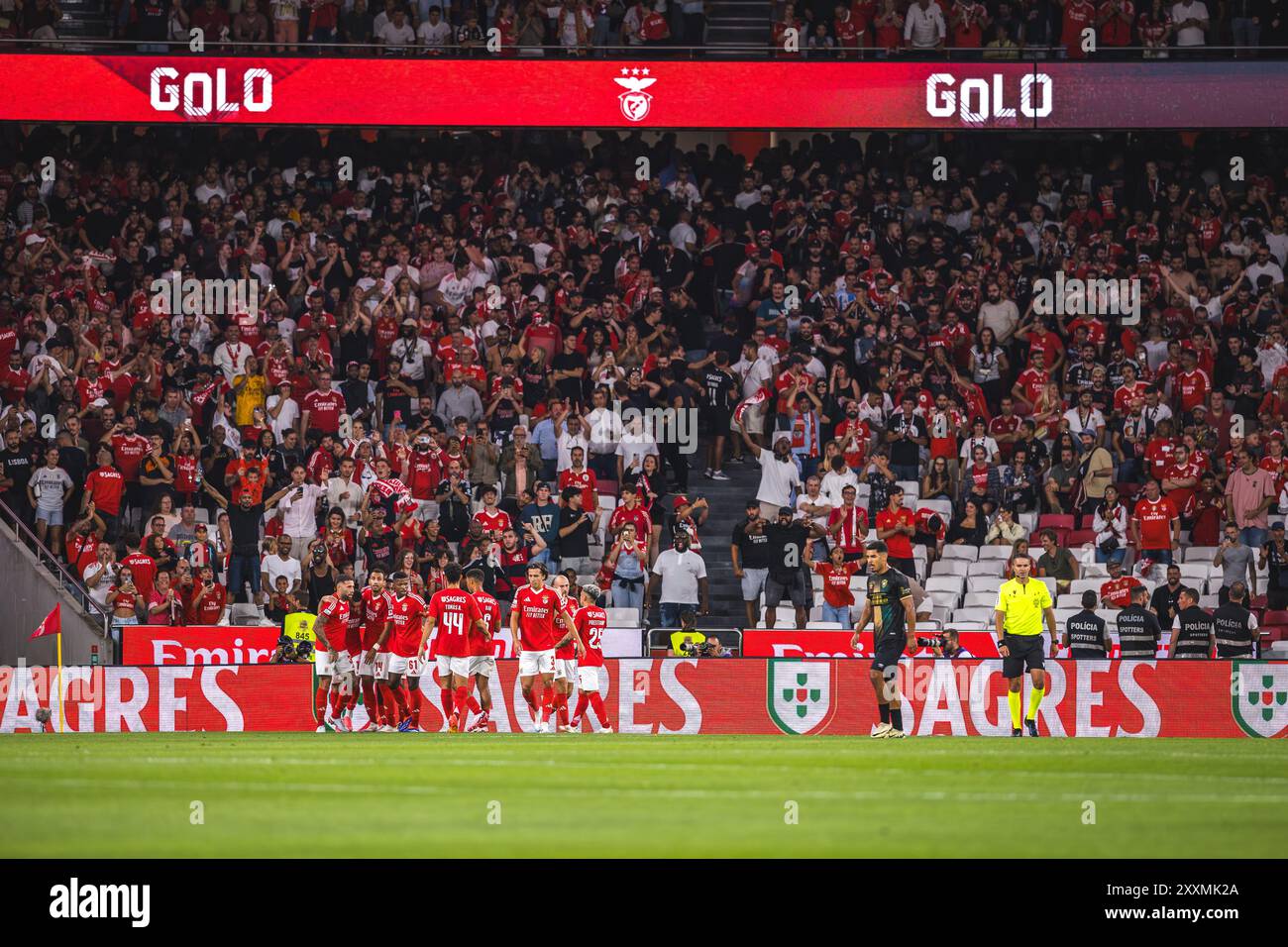 Lisbon, Portugal. 24th Aug, 2024. SL Benfica team celebrates the goal ...