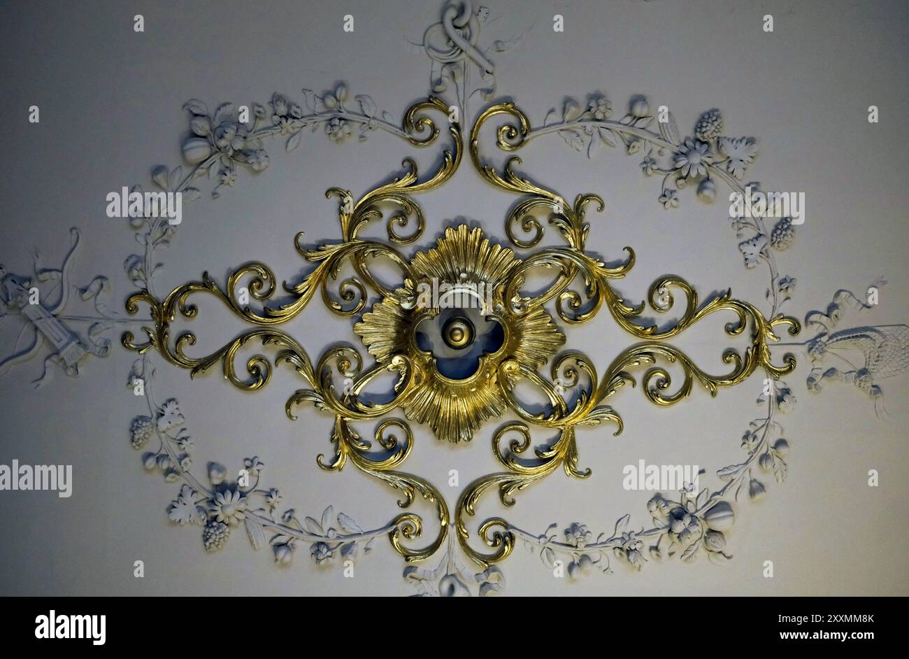 Hopetoun House interior, Scotland’s Finest Stately Home and a ...