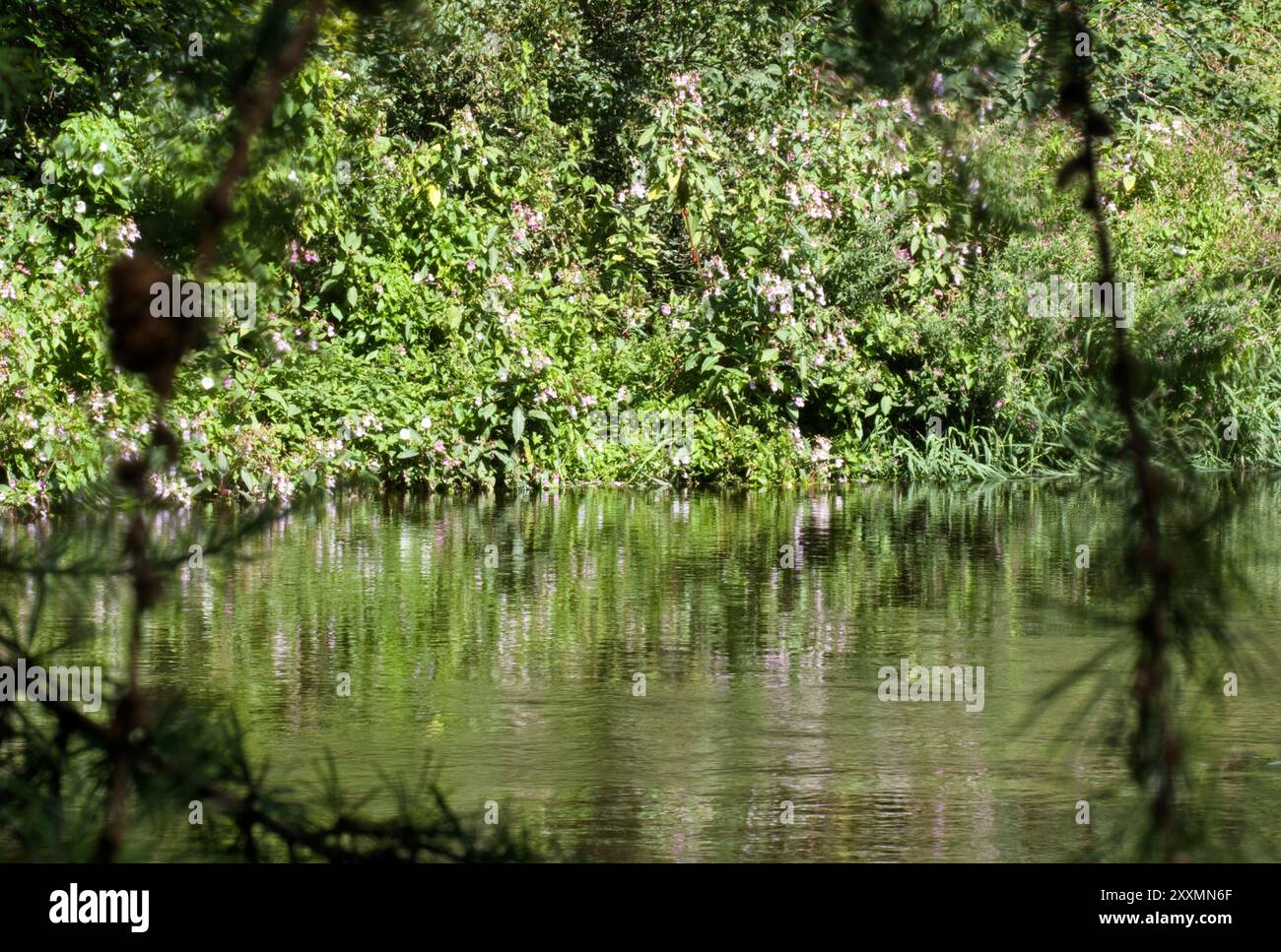 Almondvale hi-res stock photography and images - Alamy