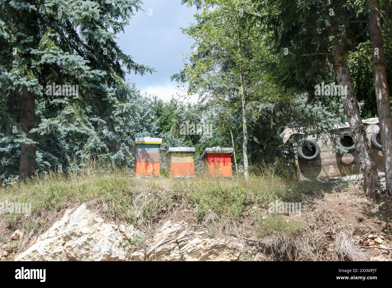 Bee supers in rural Bosnia Stock Photo - Alamy