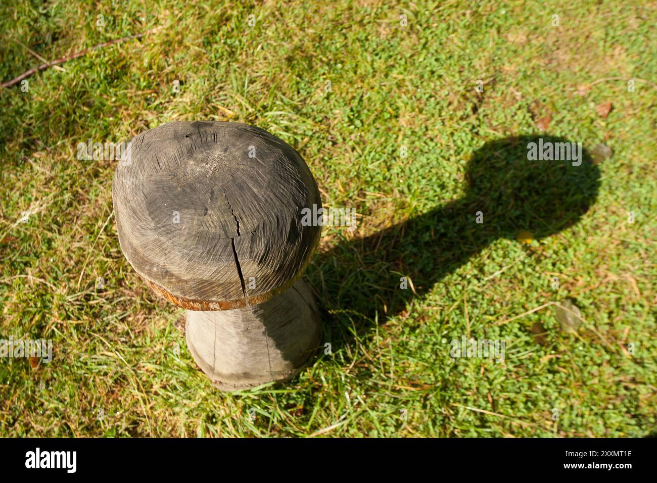 Wooden toadstool hi-res stock photography and images - Alamy
