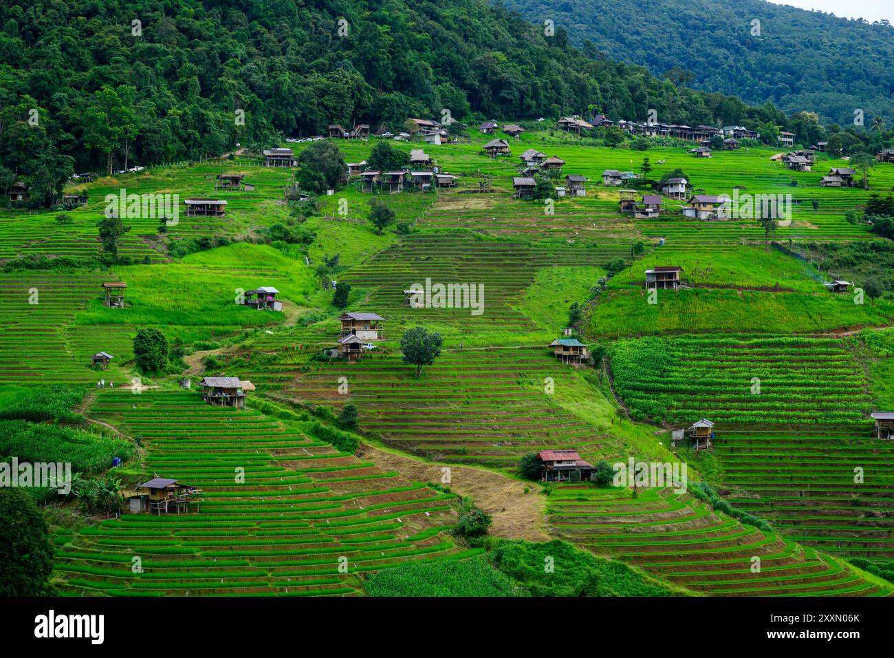General view of a small hamlet in rice terraces of Ban Pa Pong Piang ...