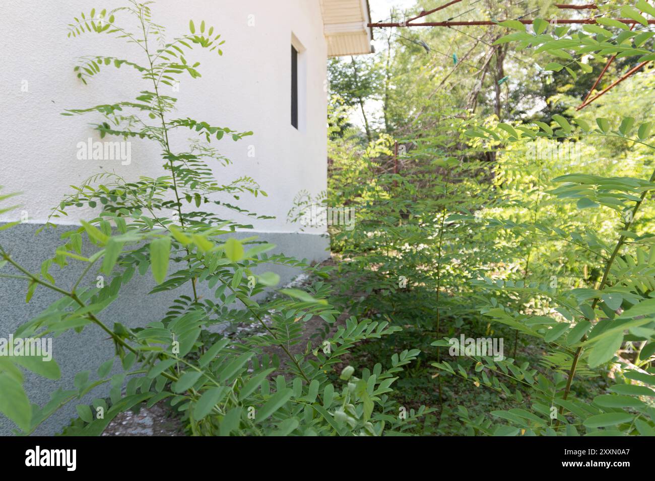 Isolated derelict property hi-res stock photography and images - Alamy