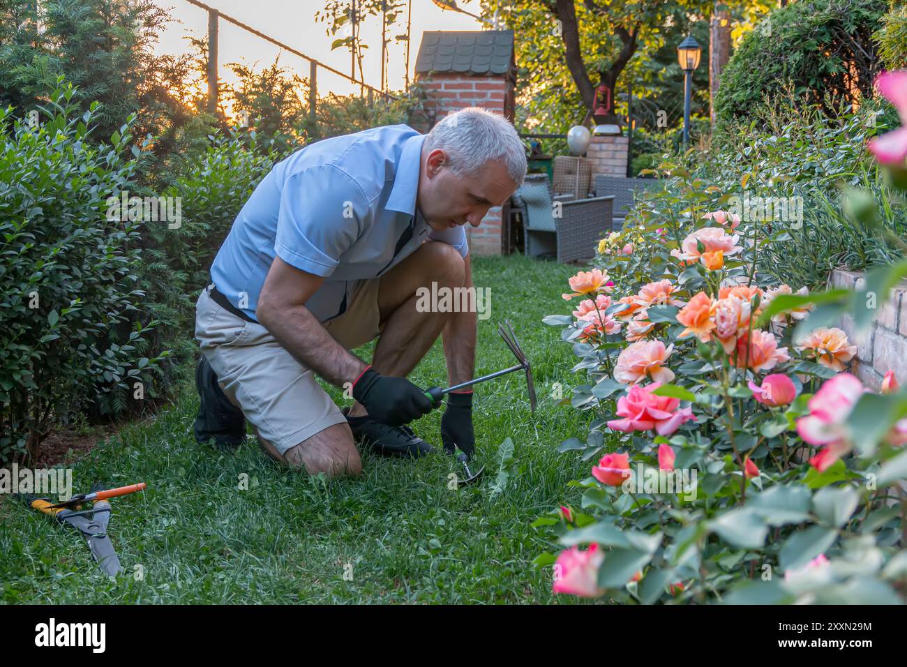 A man takes care of flowers and plants in the garden. Spring. Man ...