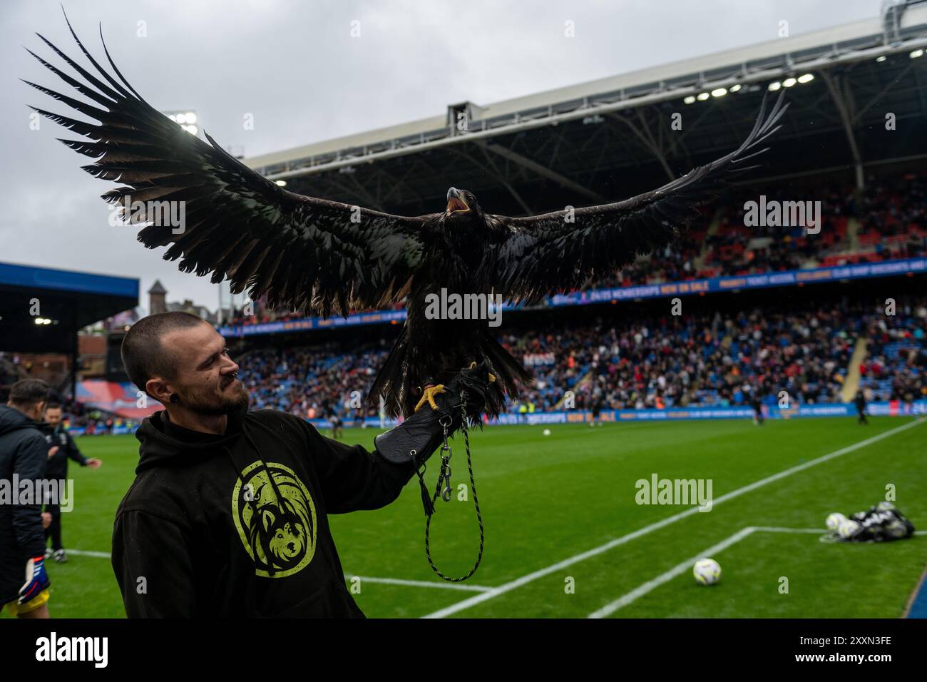 LONDON, ENGLAND - AUGUST 24: club’s official live mascot American Bald ...