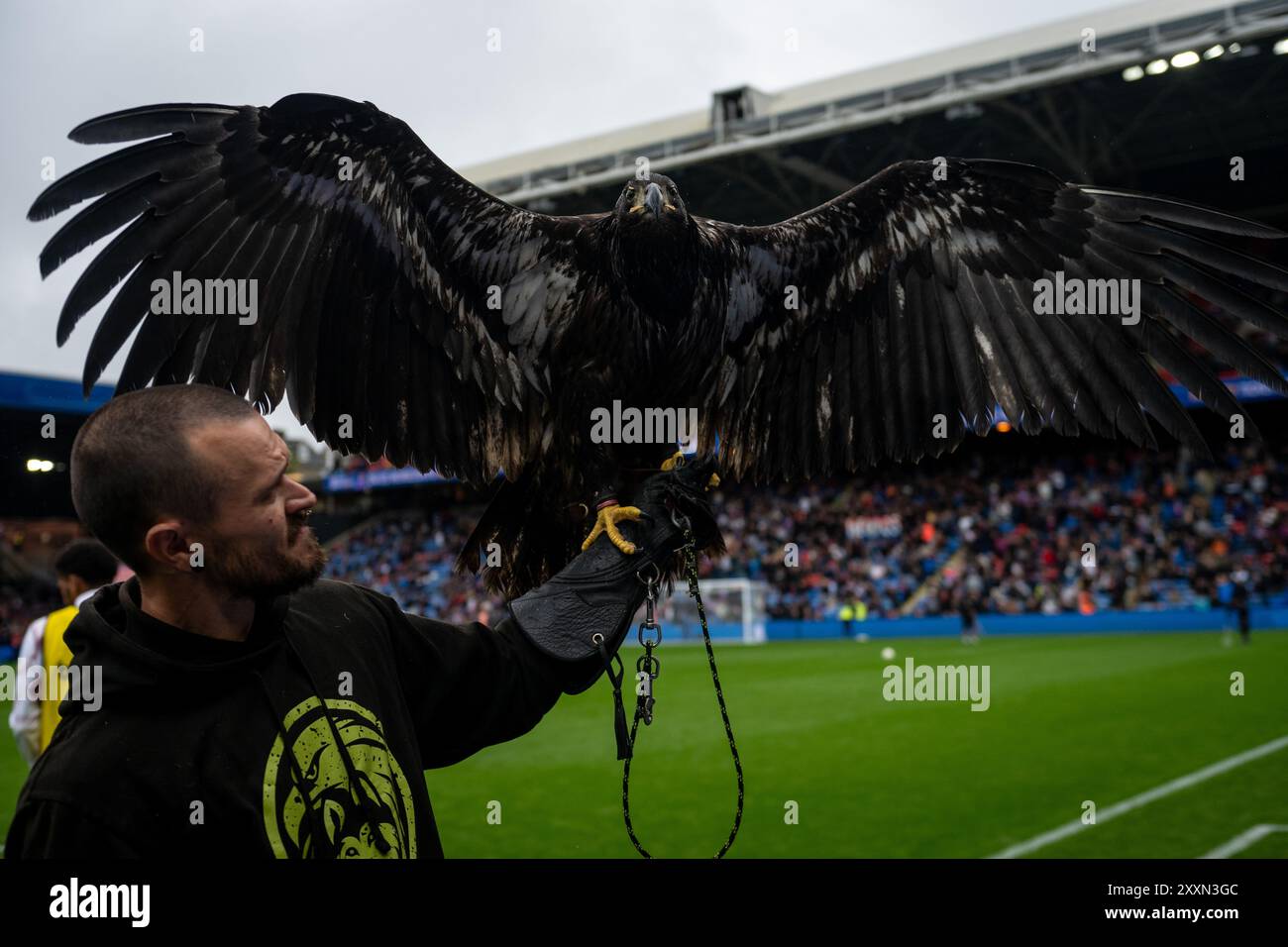 LONDON, ENGLAND - AUGUST 24: club’s official live mascot American Bald ...