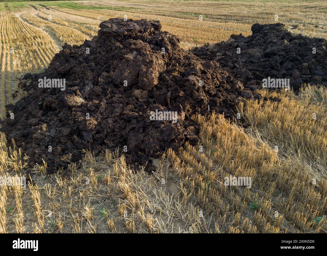 Pile of manure hi-res stock photography and images - Alamy