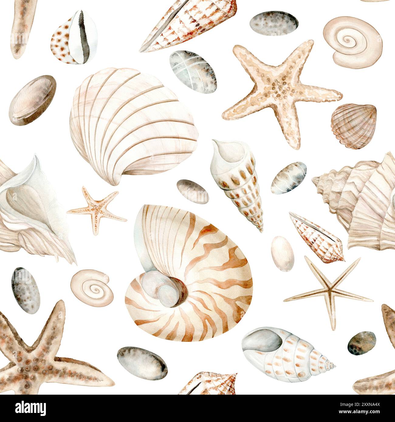 Seamless pattern of beige sea shells, stars and pebbles watercolor ...