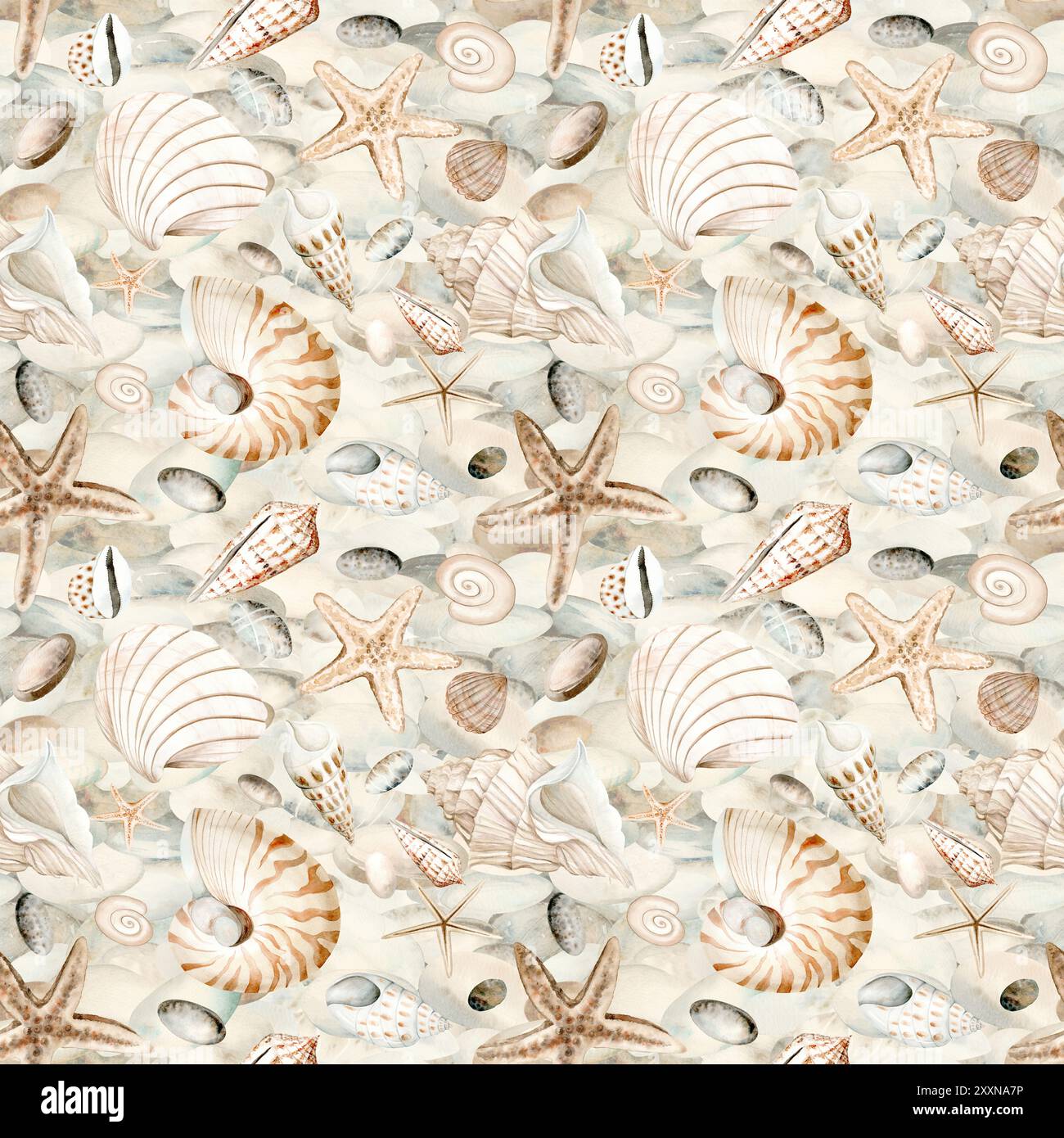 Seamless pattern of beige sea shells, stars and pebbles watercolor ...