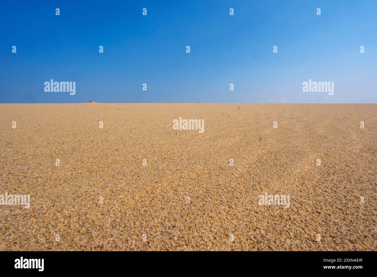 Wide view of a sandy desert landscape stretching into the distance ...