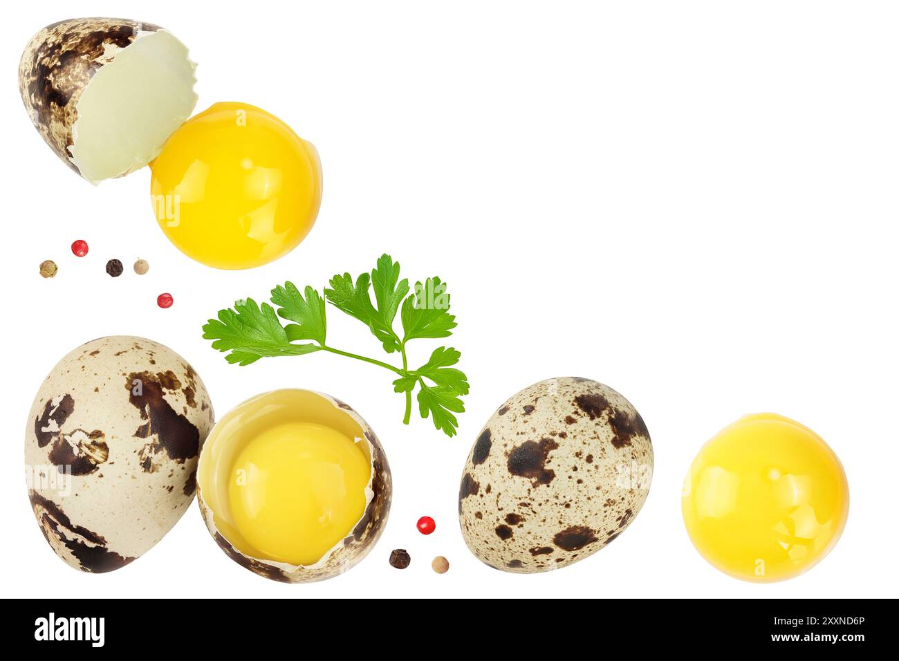Raw quail egg isolated on white background with full depth of field ...