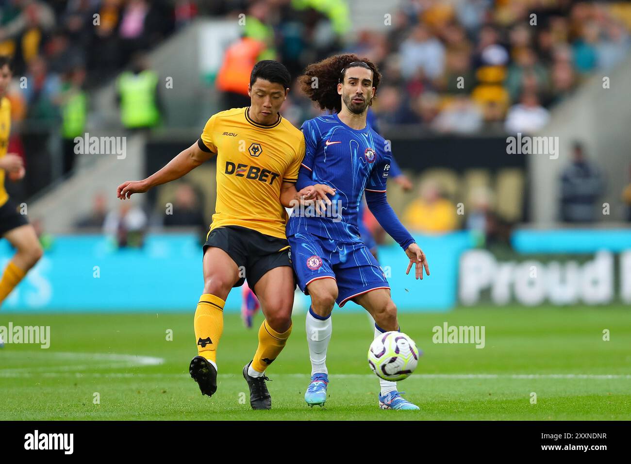 Marc chan hi-res stock photography and images - Alamy