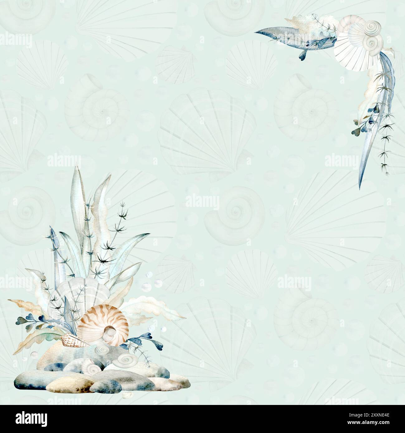 Frame of sea shells, pebbles and seaweed watercolor pattern. Hand ...