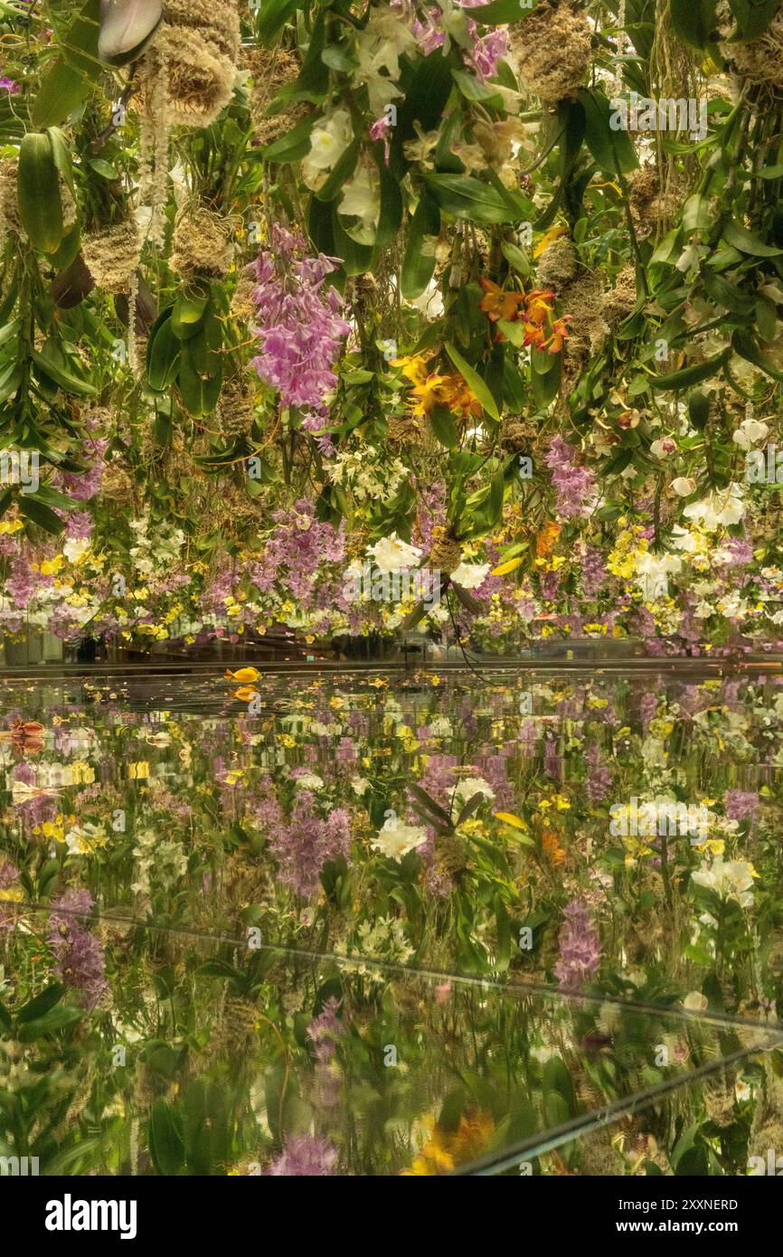 Colorful suspended flowers reflected in a still, mirrored pool at a ...
