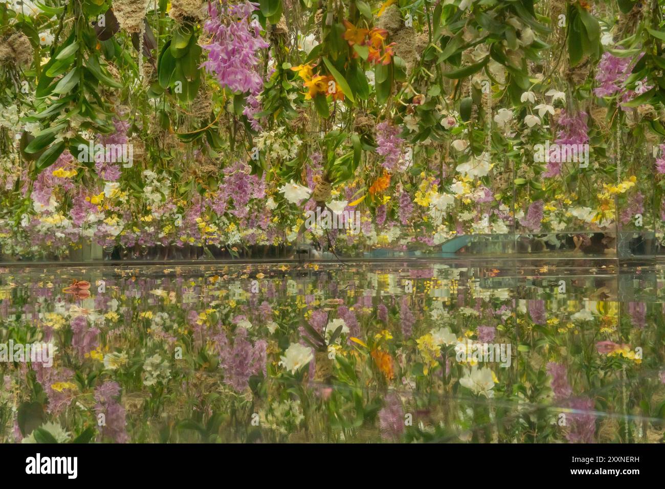 Colorful suspended flowers reflected in a still, mirrored pool at a ...