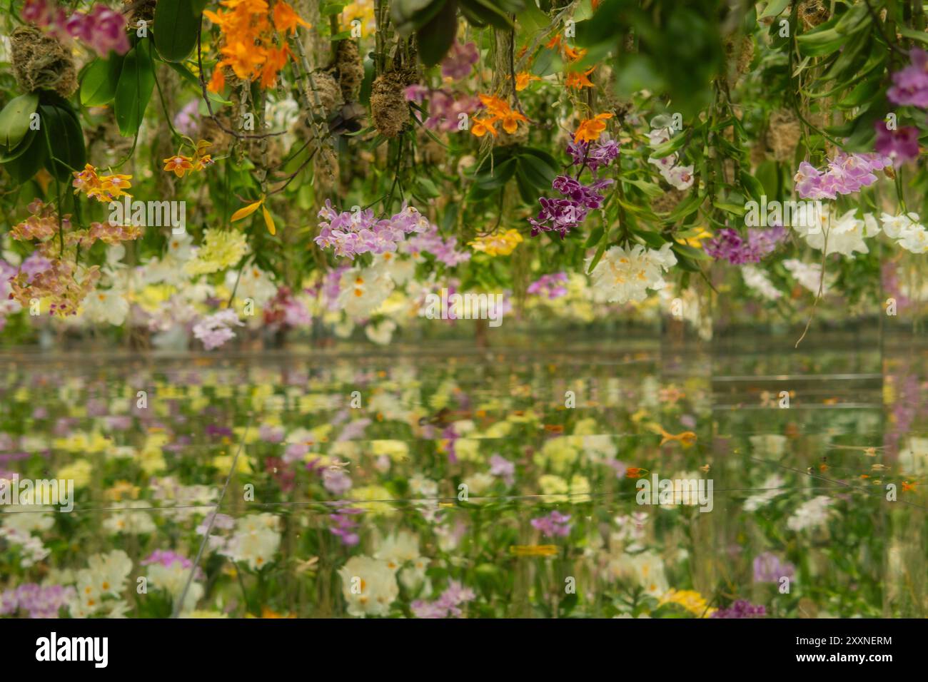Colorful suspended flowers reflected in a still, mirrored pool at a ...