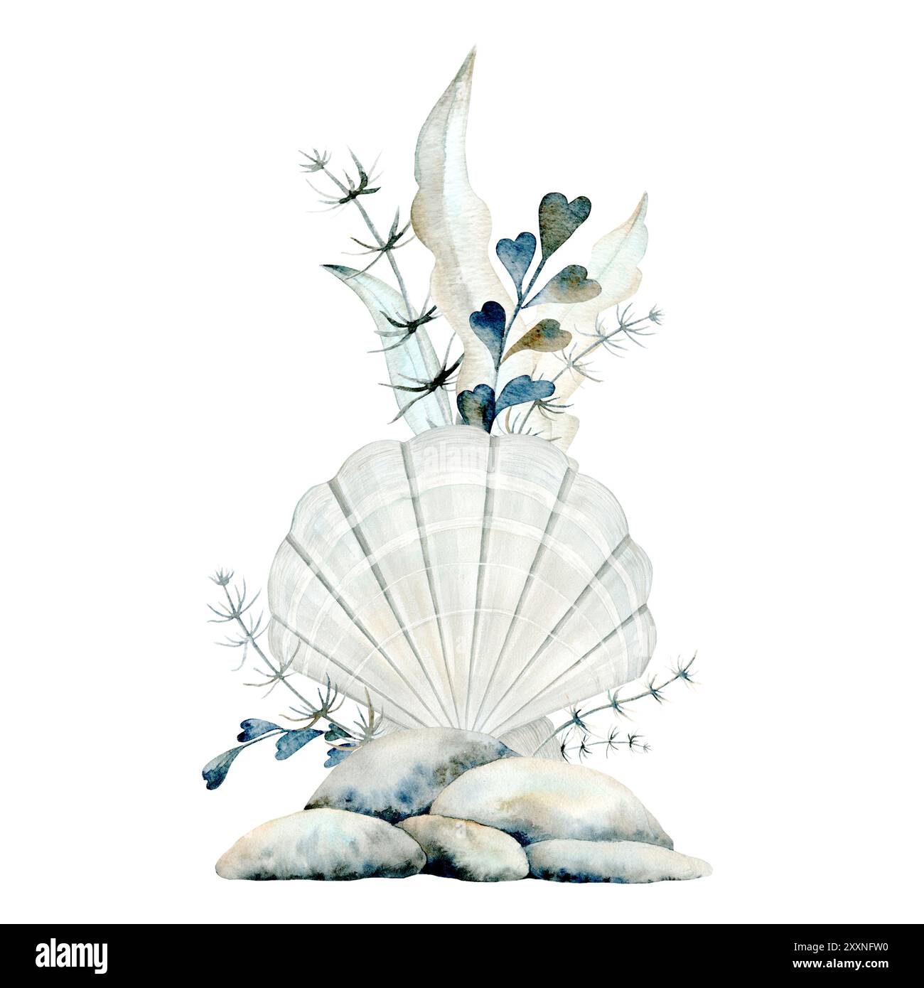 Composition of sea shells, pebbles and seaweed watercolor drawing. Hand ...