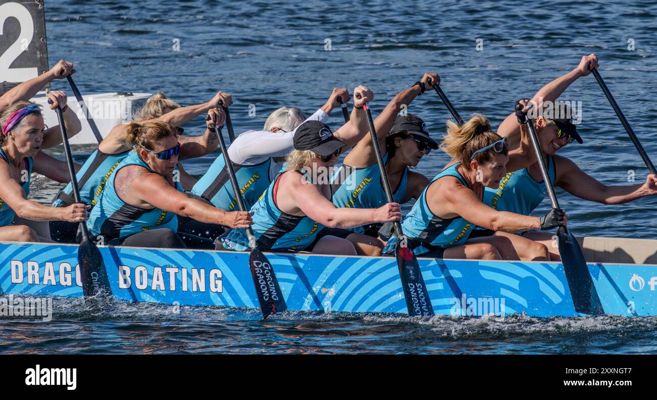 Dragon boat team members paddle in a race in The Gorge Waterway in ...