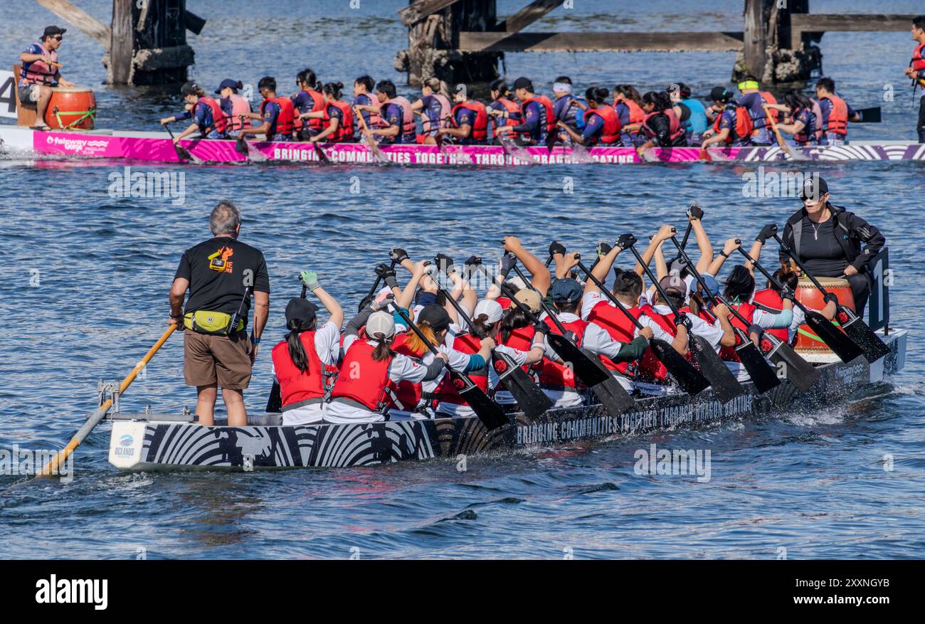 Dragon boat team members paddle in a race in The Gorge Waterway in ...