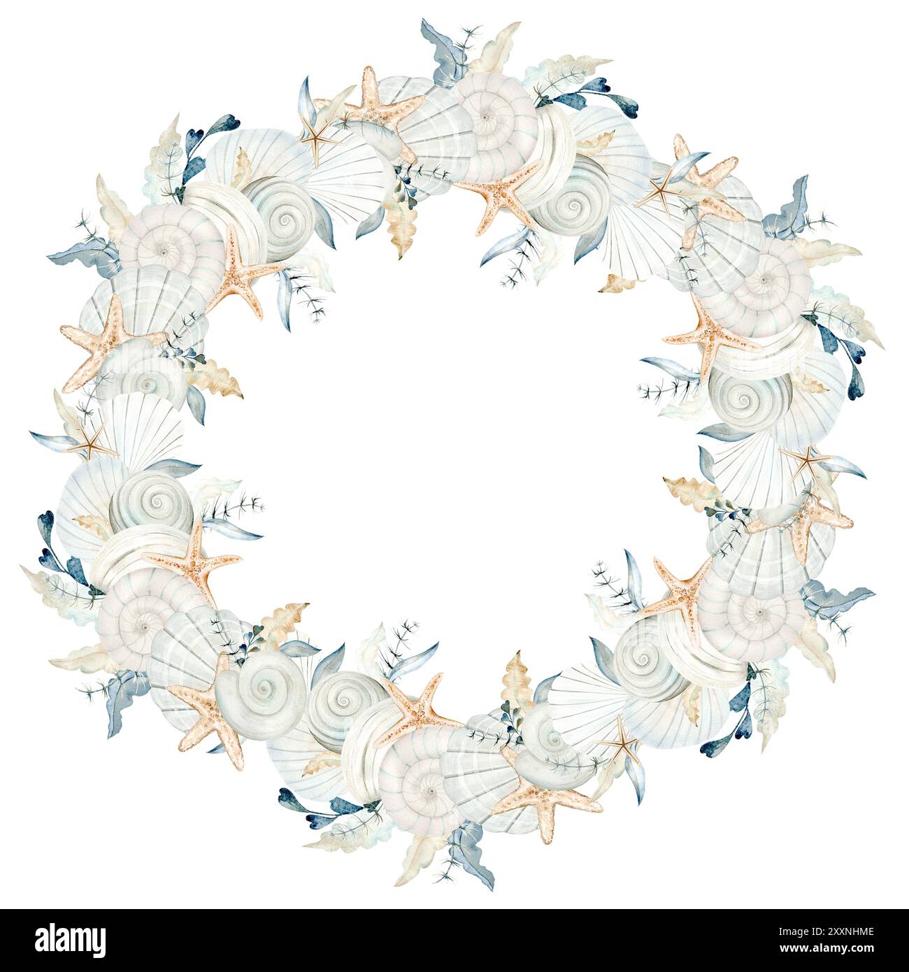 Wreath of beige sea shells, stars and seaweed watercolor illustration ...