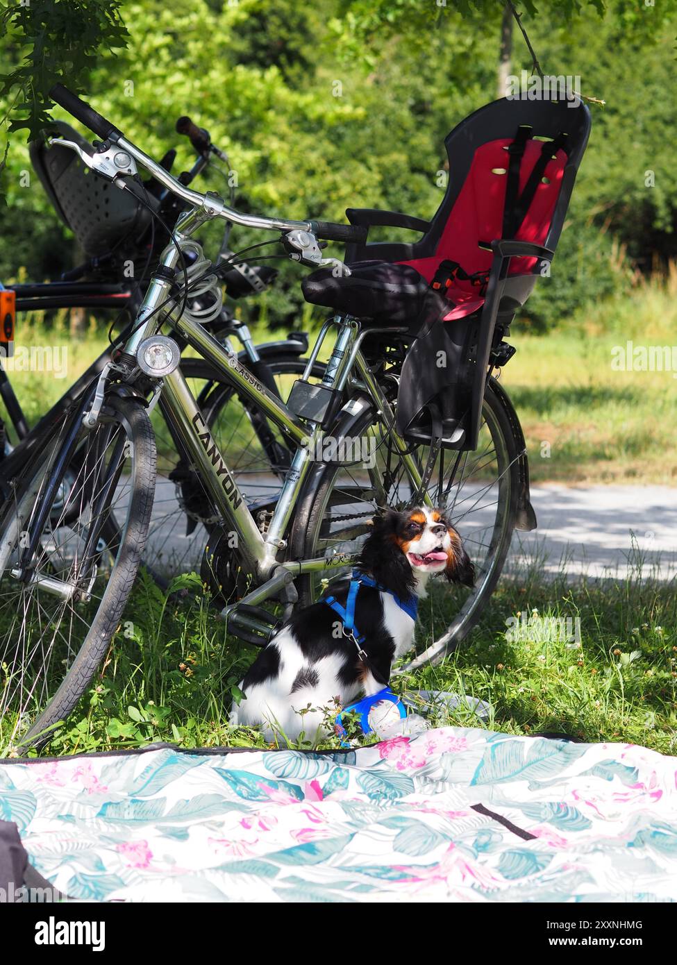 2024 charles king smile hi-res stock photography and images - Alamy