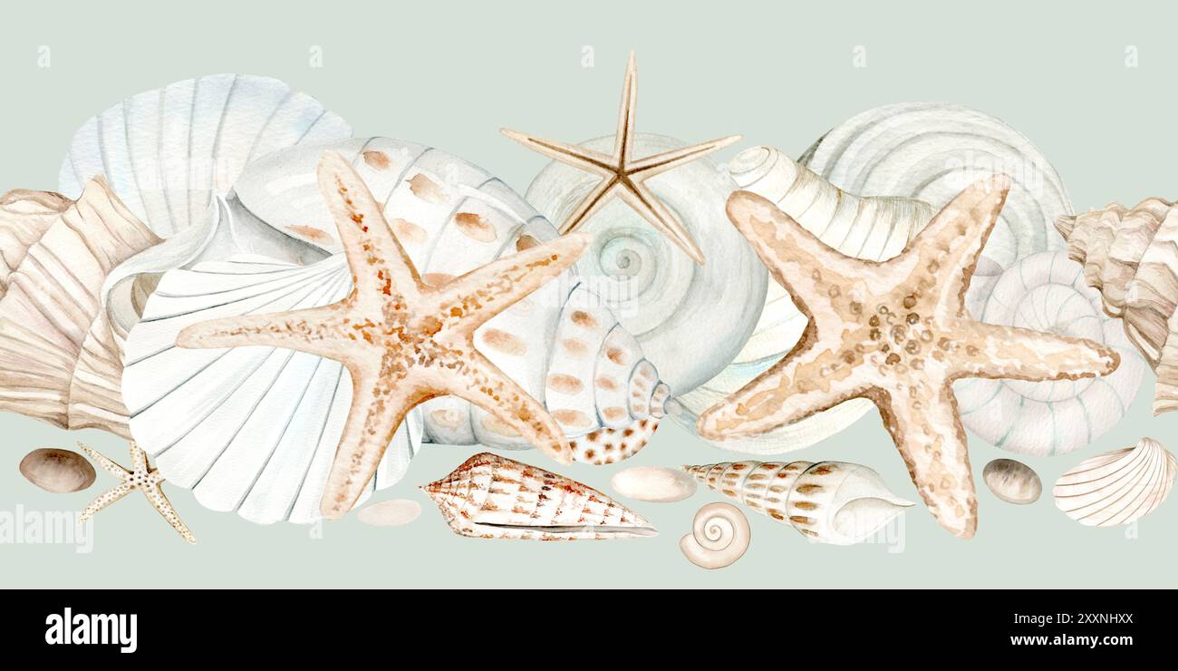 Seamless border of beige sea shells, zed and pebbles watercolor ...